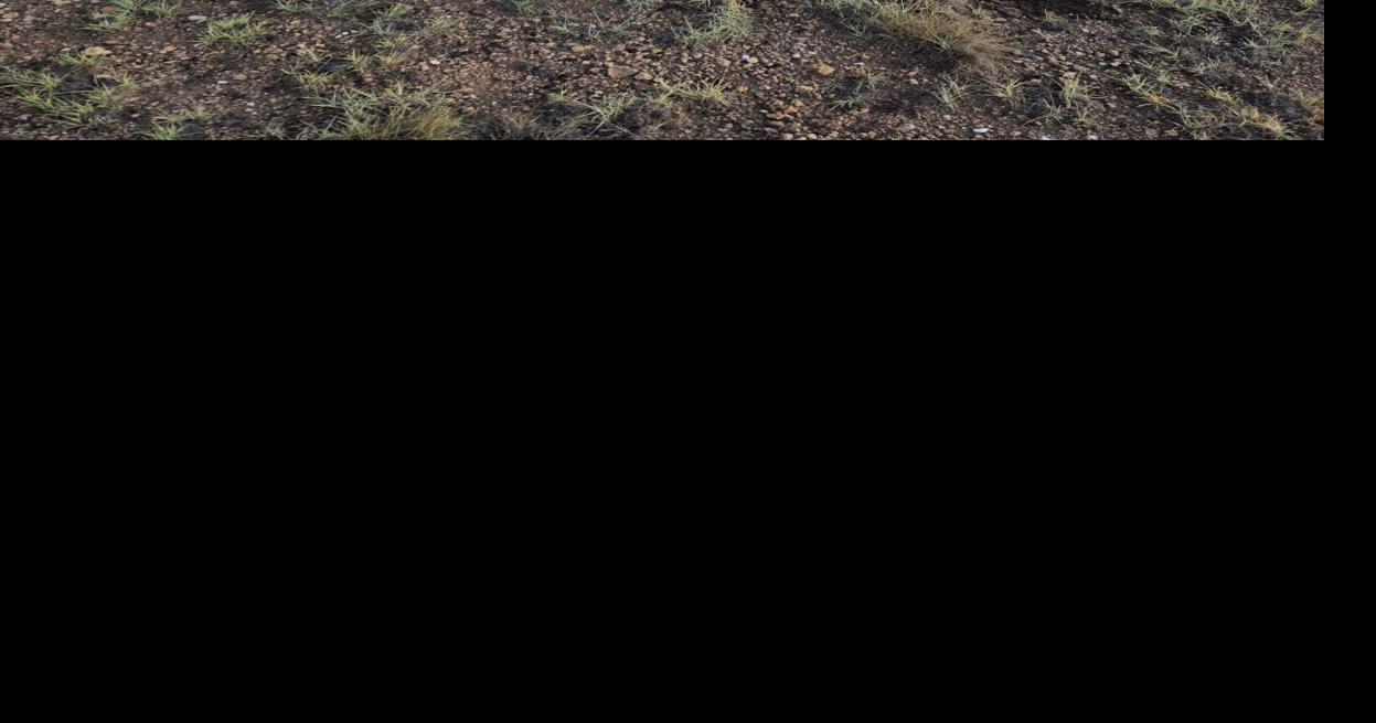 It’s good to know “a friend of a friend” when it comes to elk hunting ...