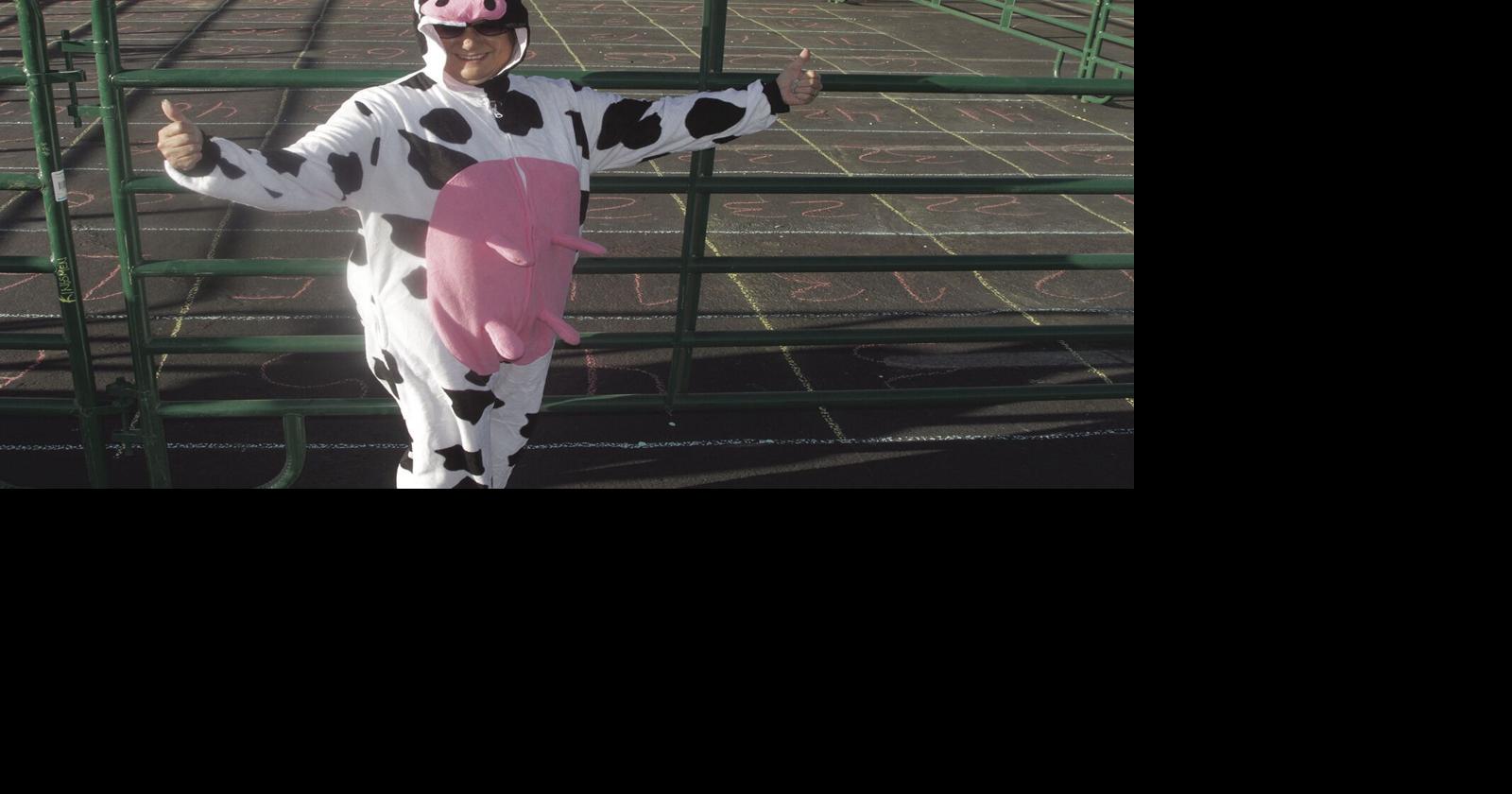 Grand Canyon Pro Rodeo Association Rodeo Cow Plop | Features | kdminer.com