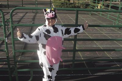 Grand Canyon Pro Rodeo Association Rodeo Cow Plop | Features | kdminer.com