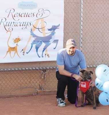 Dogs to share runway with models at annual event | | kdminer.com