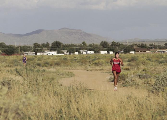 Lee Williams cross country sweeps 8-team meet in Kingman | Sports ...