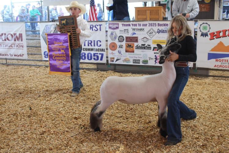 Livestock leads the way at Mohave County Fair | News | kdminer.com