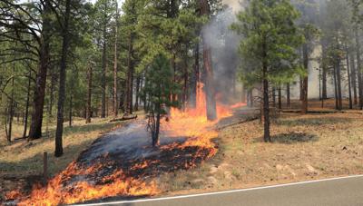 Obi Fire grows to over 10,000 acres | | kdminer.com