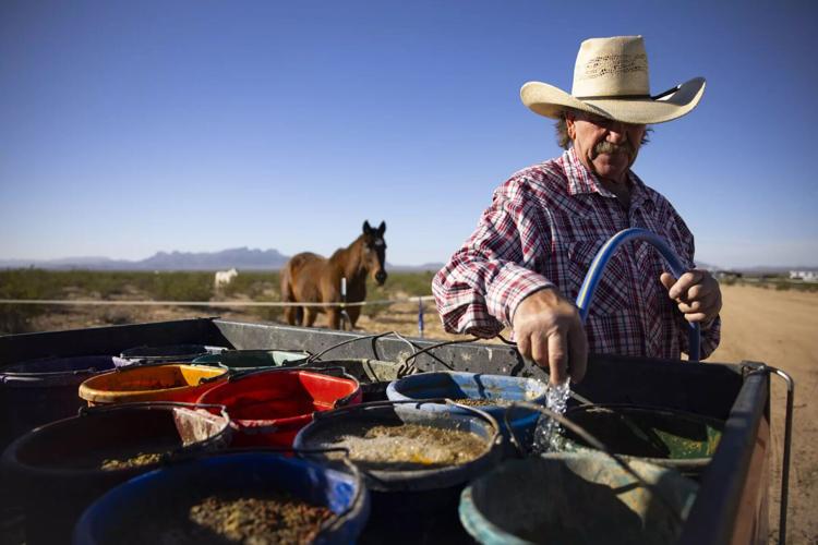Where a Saudi company pumps desert groundwater, Arizona considers ...