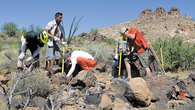 Flora, fauna and exercise offered at Cerbat Foothills Recreation Area ...