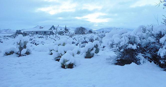 National Weather Service: Windy, with a chance of snow for Kingman on ...