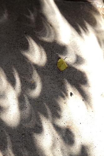 Solar Eclipse | Features | kdminer.com