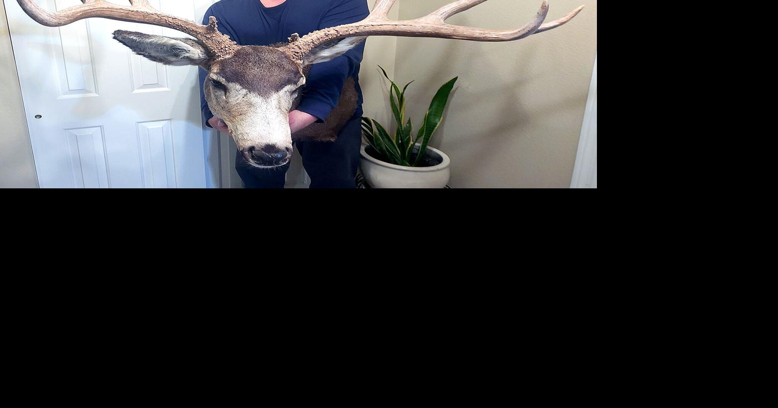 The Great Outdoors | Joe Herrero’s huge mule deer buck comes home ...