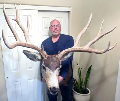 The Great Outdoors | Joe Herrero’s huge mule deer buck comes home ...