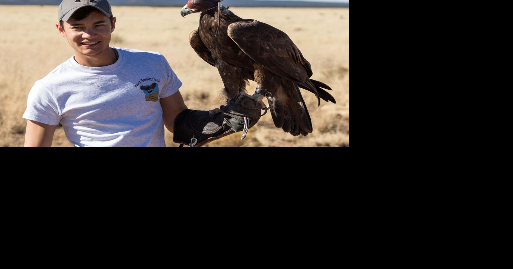 Arizona falconry takes flight in efforts to promote conservation ...