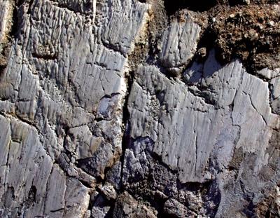 Geologist At Large | Lucy, put the football back | Features | kdminer.com