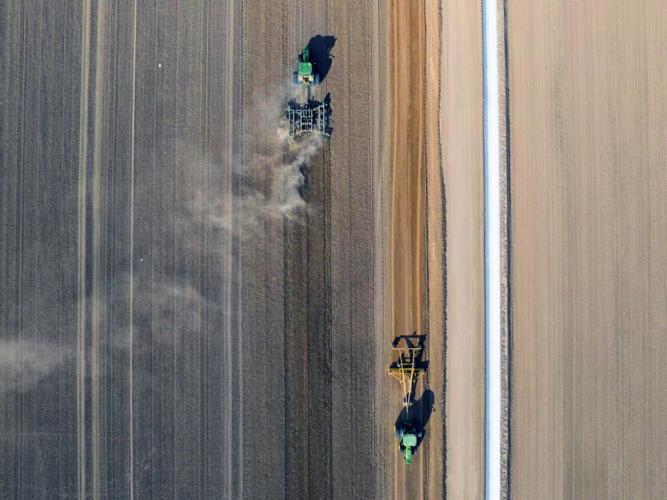 Where a Saudi company pumps desert groundwater, Arizona considers ...