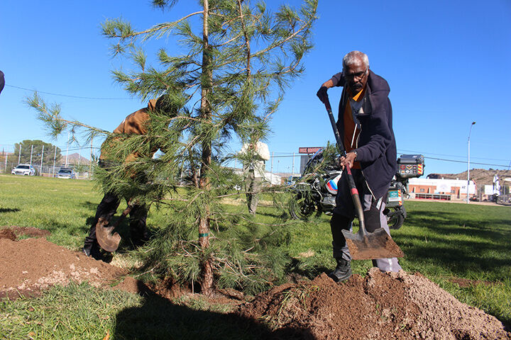Planting a tree along the Mother Road: Retired Malaysian man plants a ...