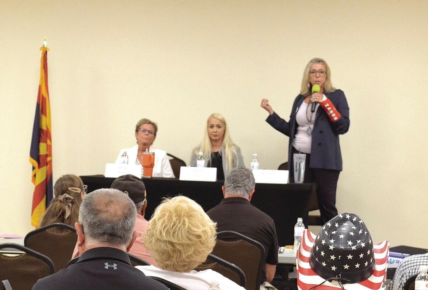 District 30 state senator candidates share goals ahead of primary ...