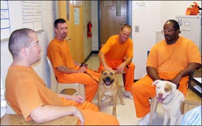 Inmates, dogs form positive partnerships | | kdminer.com