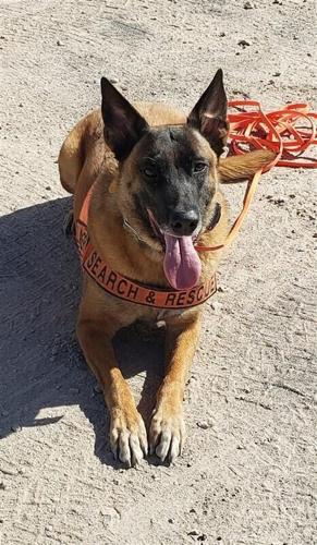 K9 Lilly mourned by Mohave County Sheriff's Office Search and Rescue ...