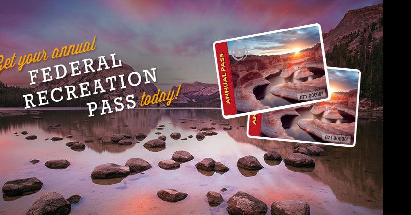 Buy your senior federal recreation passes now and save | Features ...