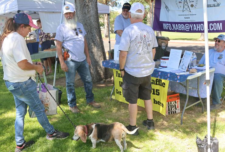 Kingman Market in the Park | Multimedia | kdminer.com