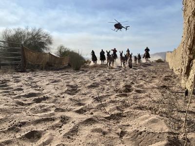 BLM begins wild burro roundup in Black Mountains | News | kdminer.com