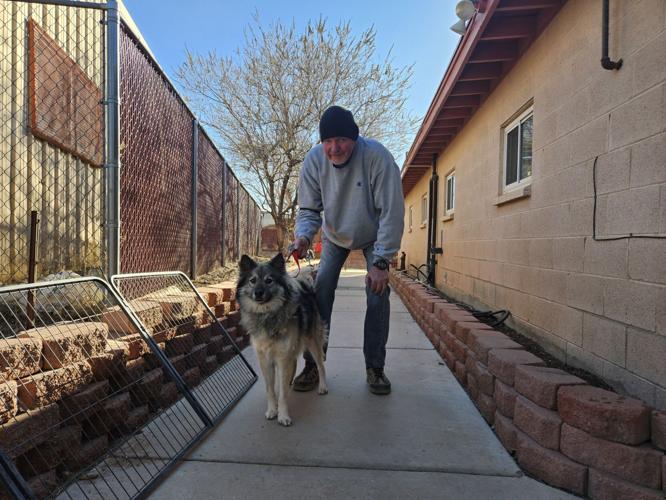 From shelter to service: Dogs are making a difference with Arizona ...