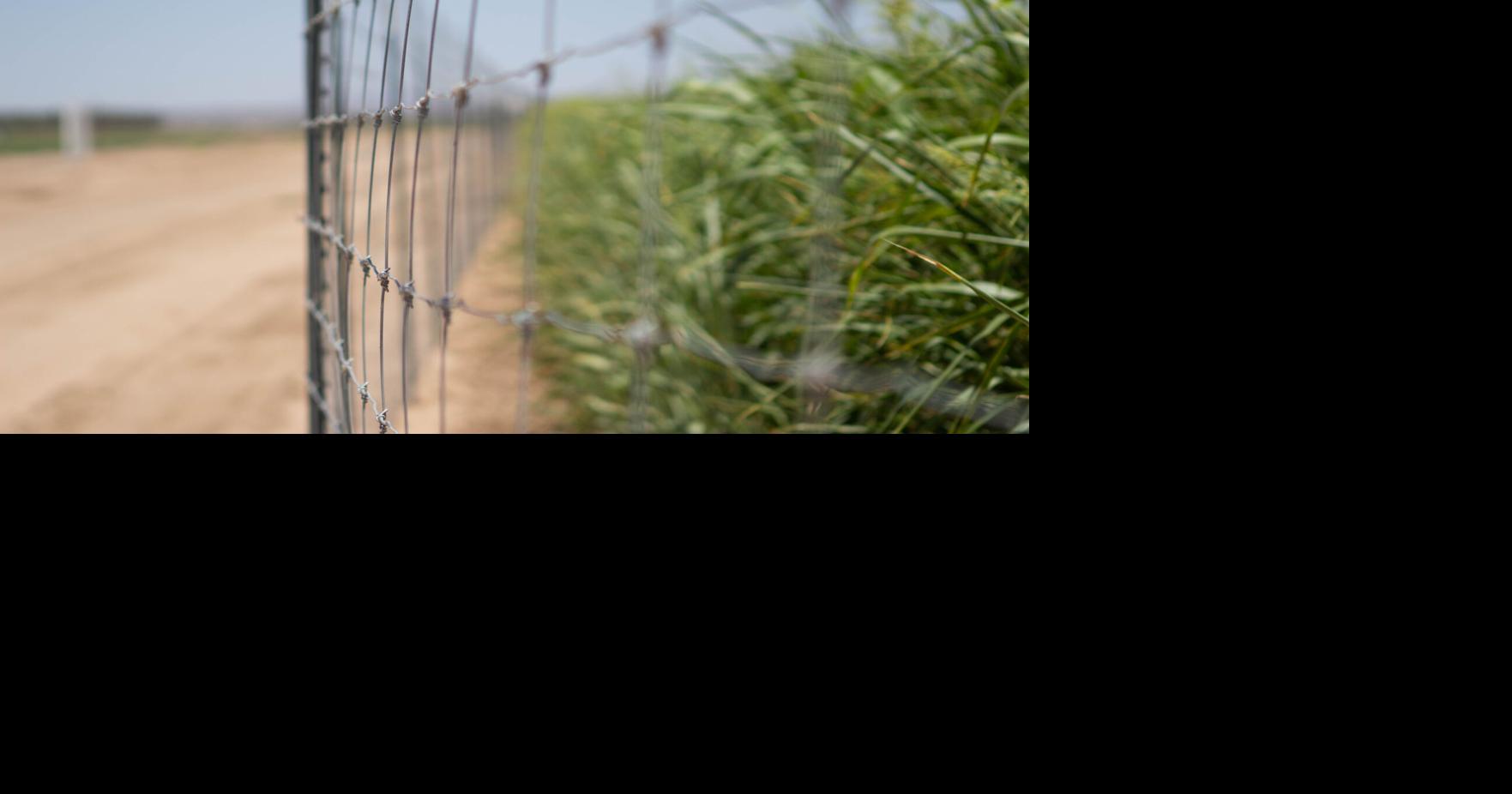 Yuma lettuce growers work to rebuild consumer trust after E. coli ...