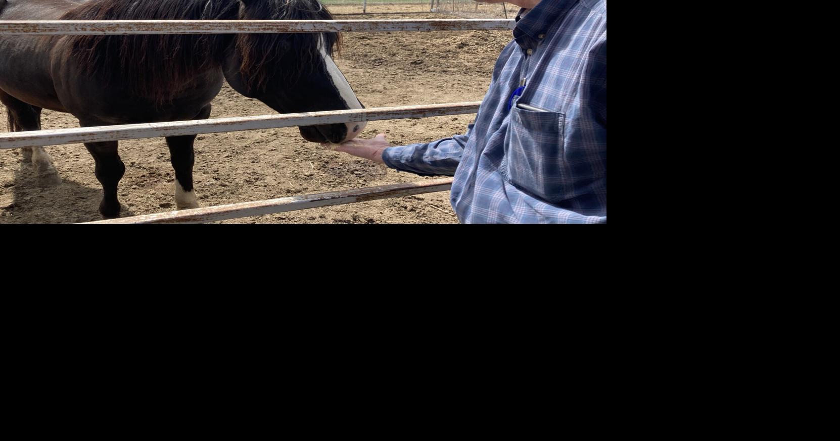 There's plenty to see in Nebraska. Just open your eyes