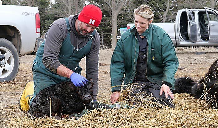 ‘Heartland Docs’ featuring Hartington vets renews for a second season