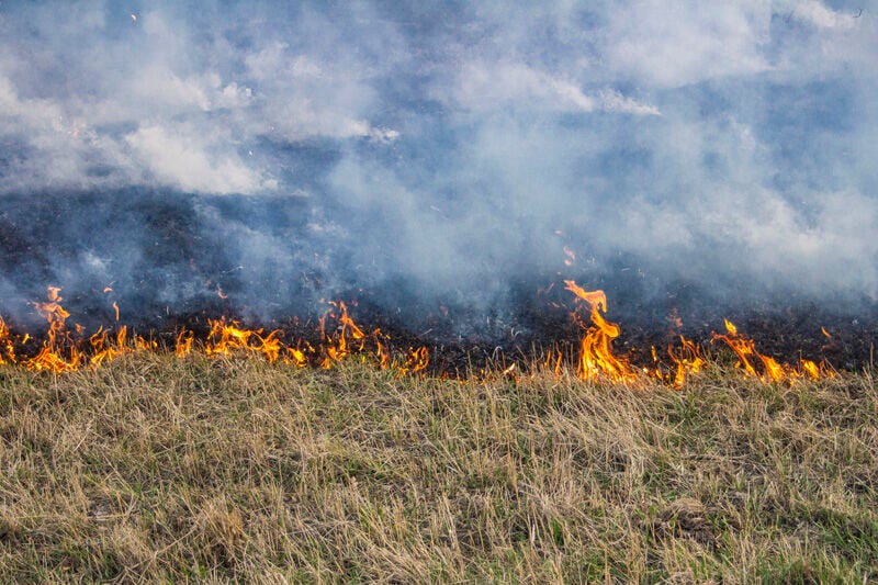 60-80 acres burn in grassland fire north of Miller Tuesday