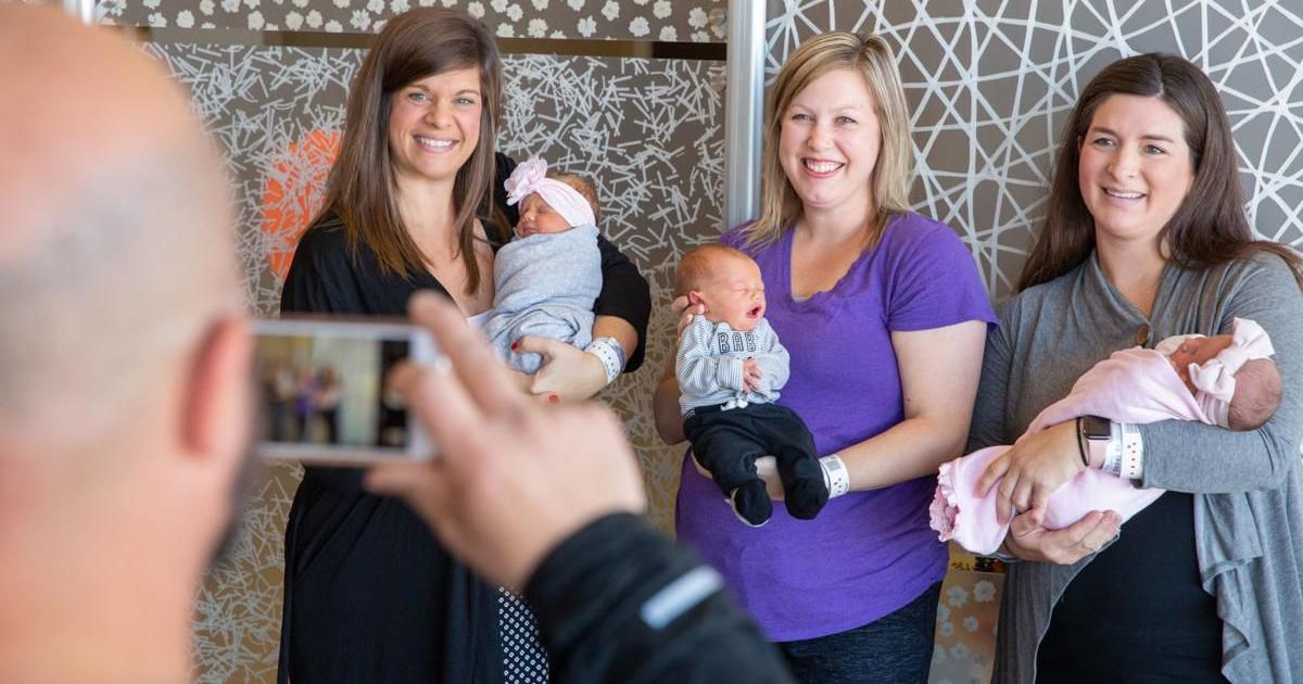 UNL Greek life can expect 3 new pledges after sorority sisters welcome ...