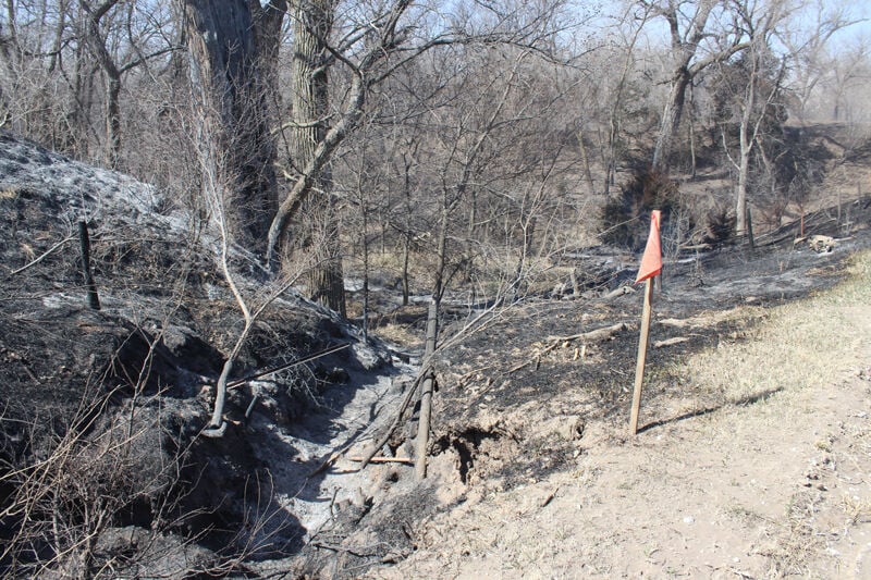 Burn ban includes every fire department in Buffalo County