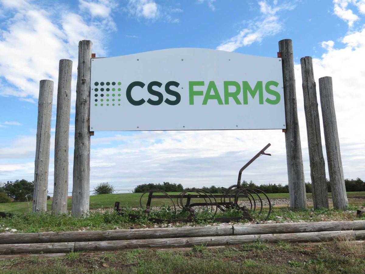 Crop requires precise science to become perfect potato chip ...