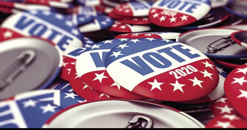 Leader: Canvassing group aims to verify voter information, clean election