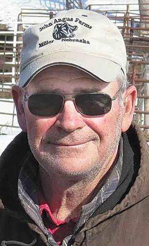 With only a glance and his intuition, seasoned cattleman Randy John can ...