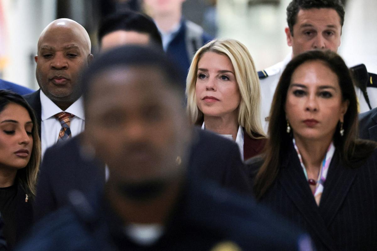 Bondi blames Blanche for Epstein files redaction errors