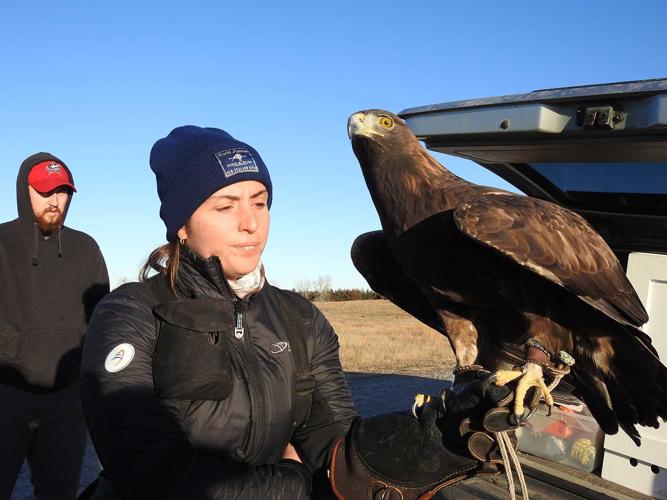 Master Falconer Lauren McGough to be featured on '60 Minutes' this Sunday