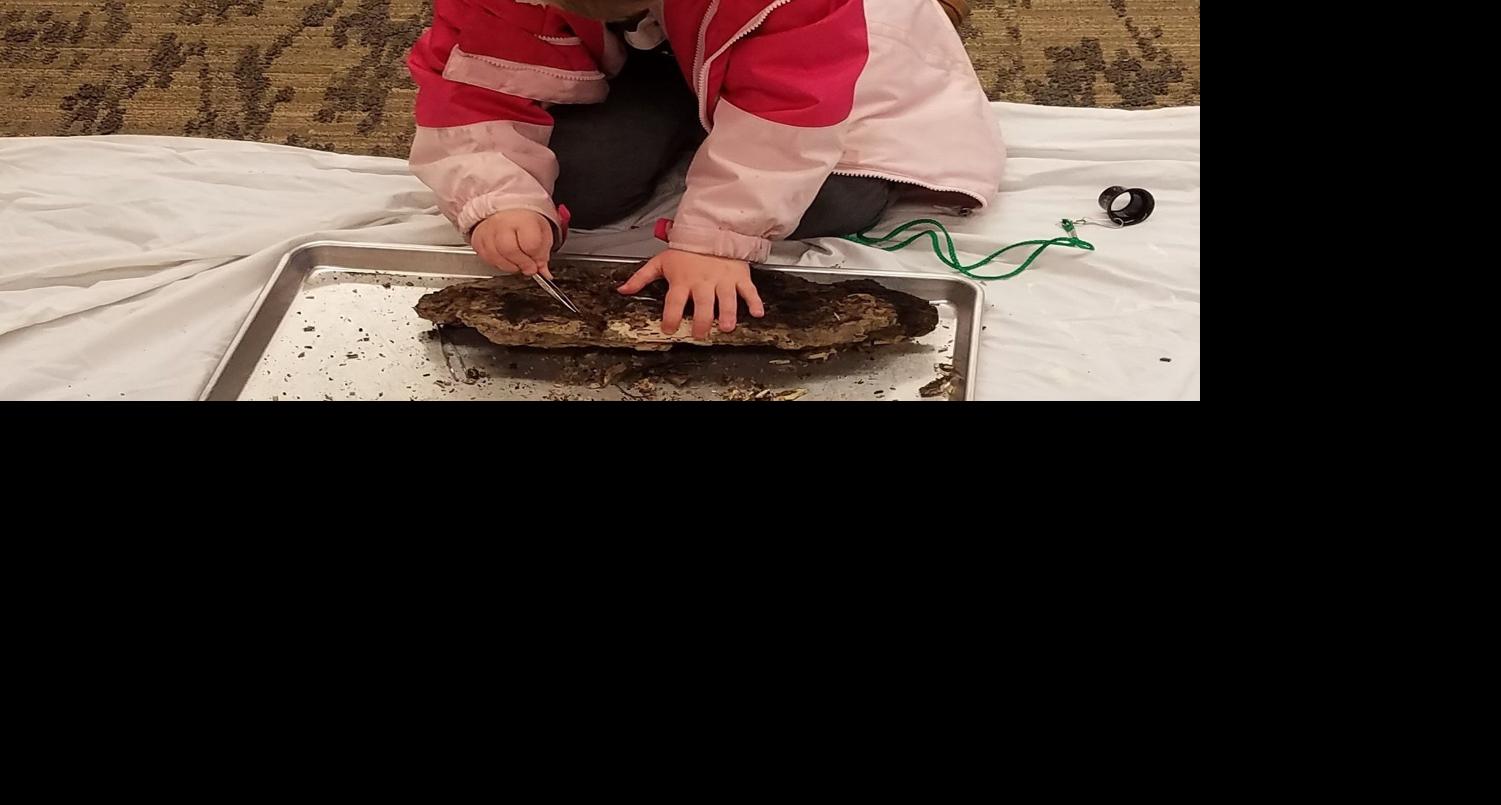 Rowe Sanctuary’s ‘Snug as a Bug’ shows how insects survive in cold weather