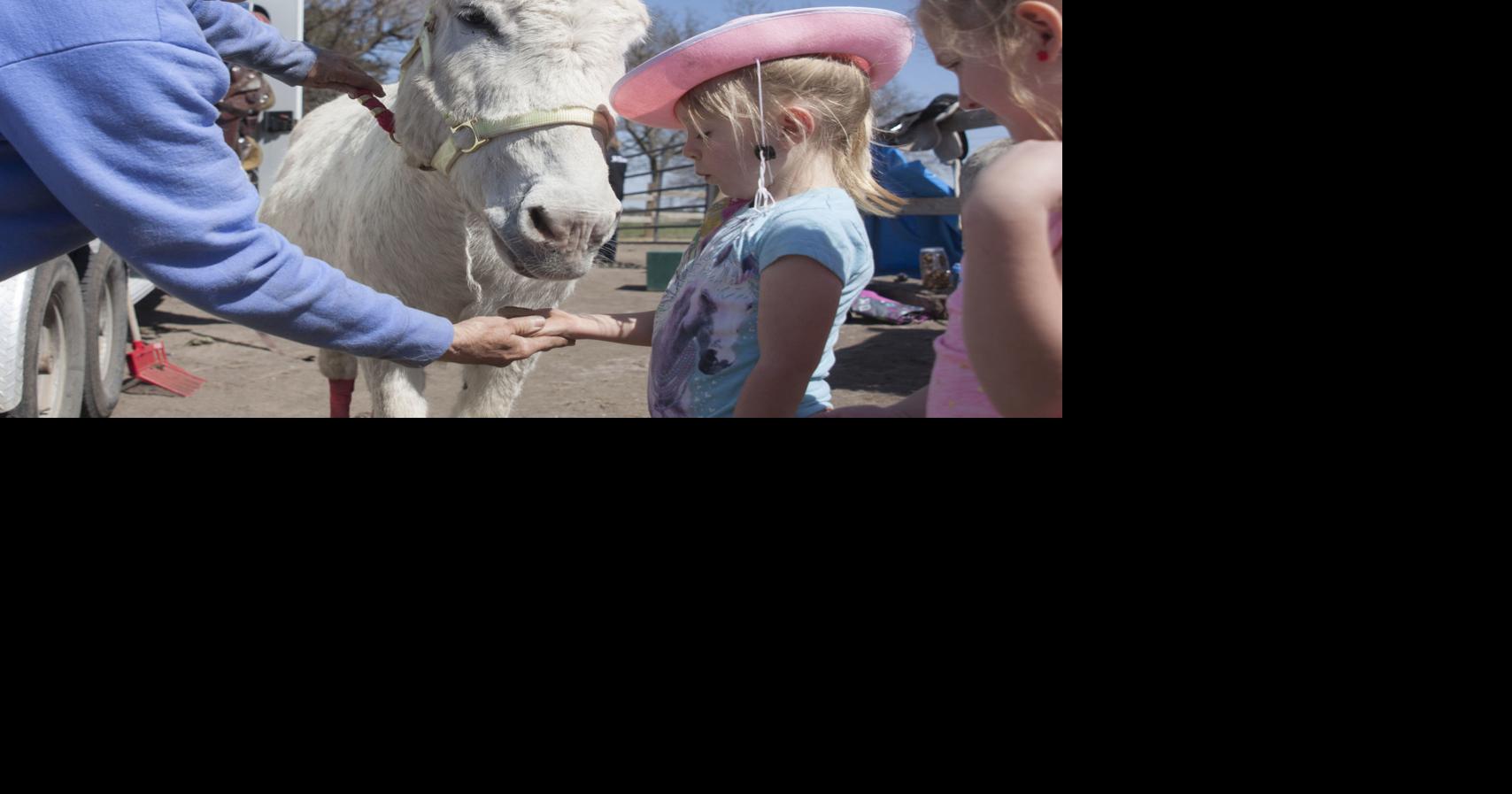 Photos: Birthday party at Christine's Horseback Riding by Erika Pritchard