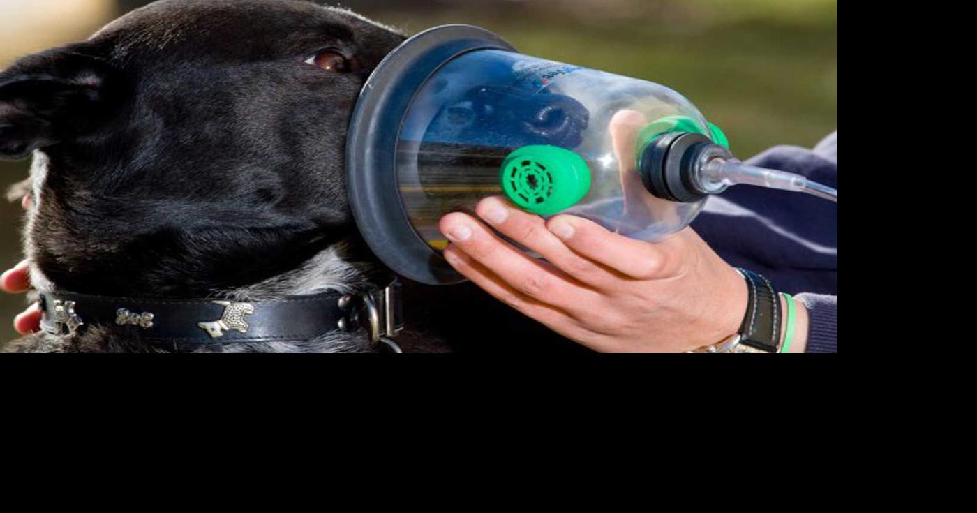 New pet oxygen masks at Holdrege Fire Department