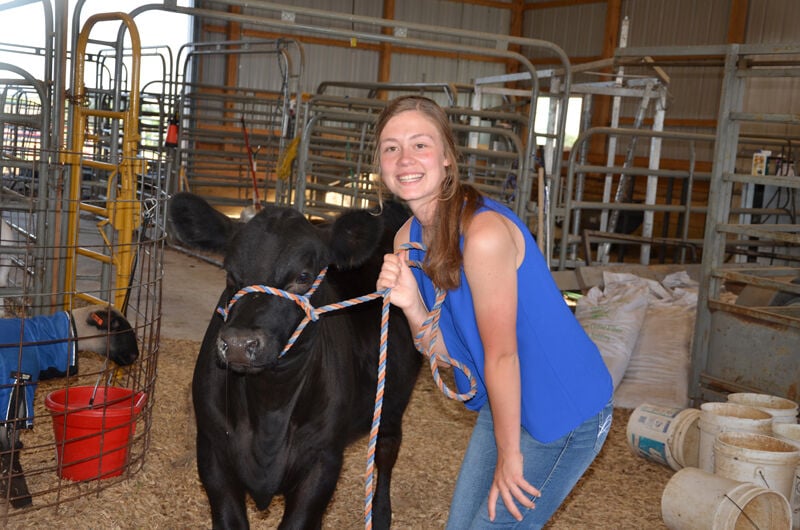Shelton teen, a 4-H'er since she was 5, sees 'other side' of animal ...