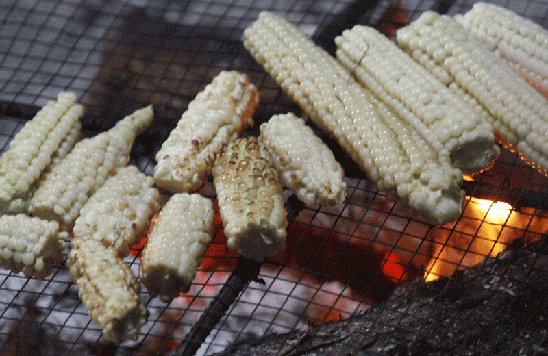 Ancient eagle corn becomes a meal