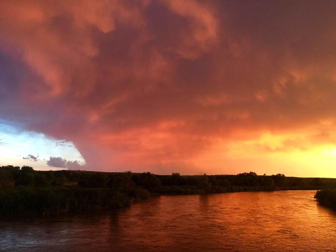 setting sun documents