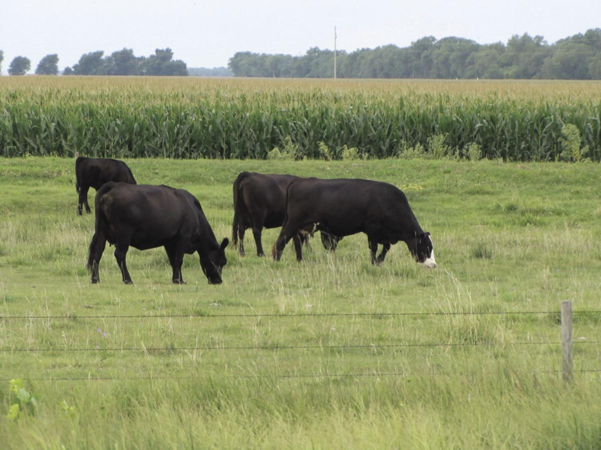 Fertilizing grass pastures requires soil testing for nutrient needs