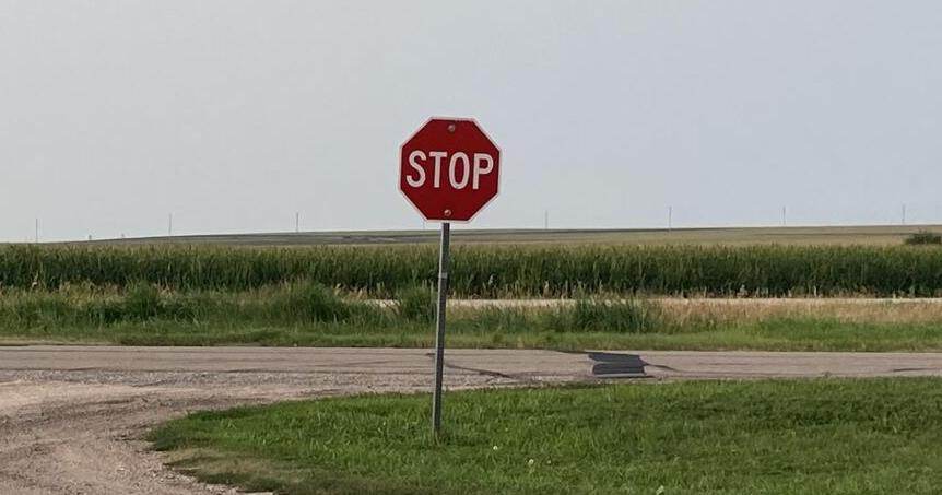 Slow down, my recovering body says. My mind won't listen.
