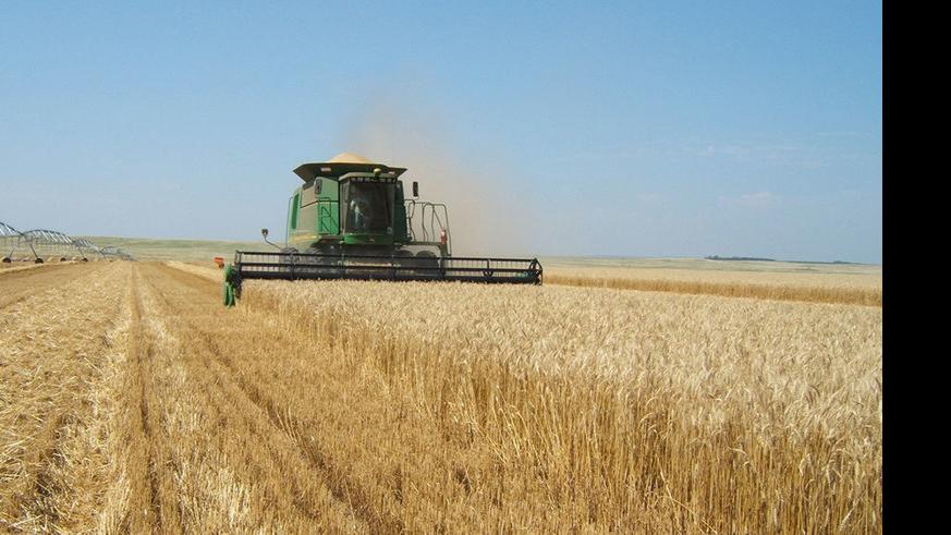 Nebraska farmers begin planting winter wheat | Agriculture News ...