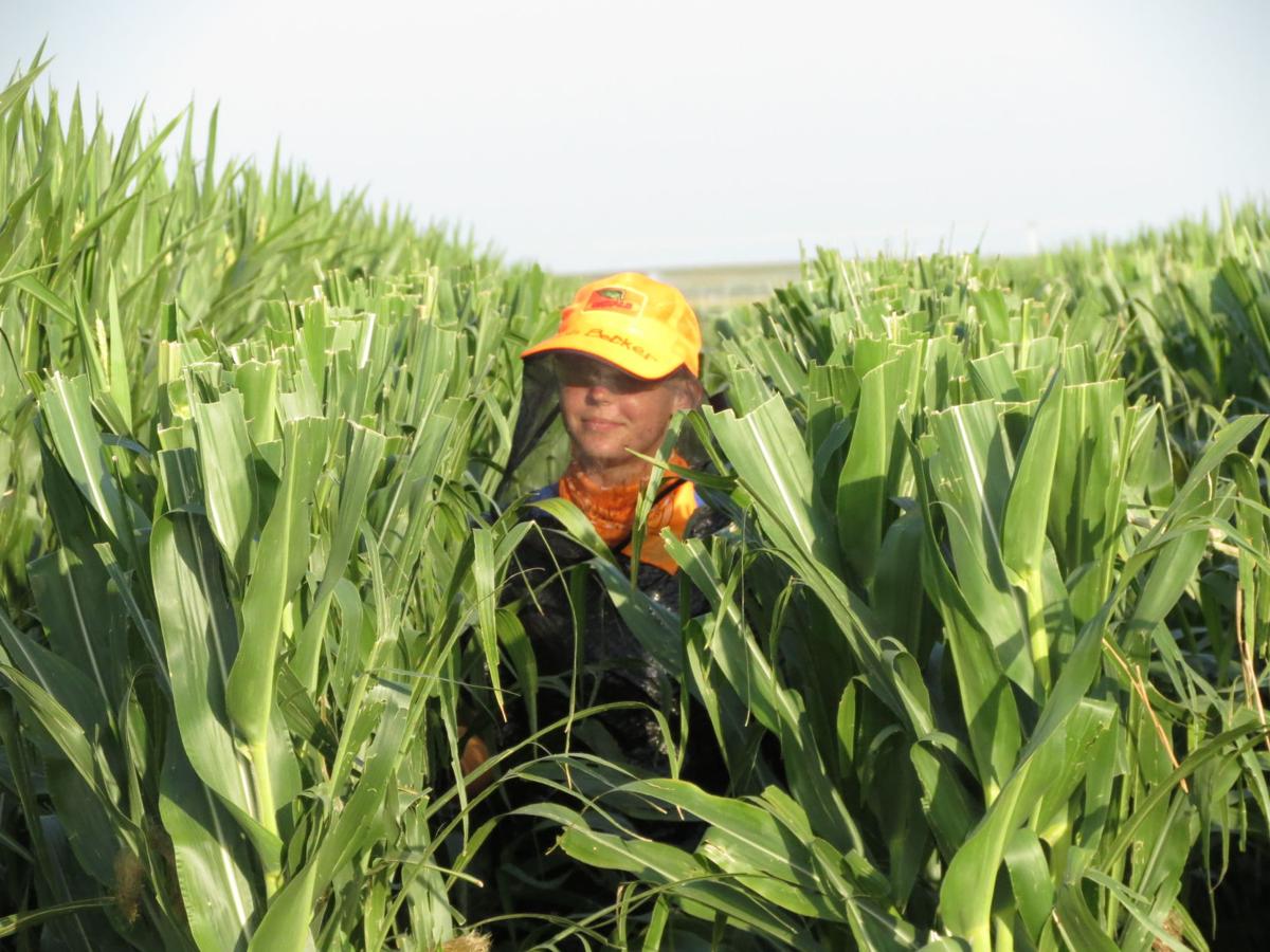 Declining ag economy top natural resources story | Local News ...