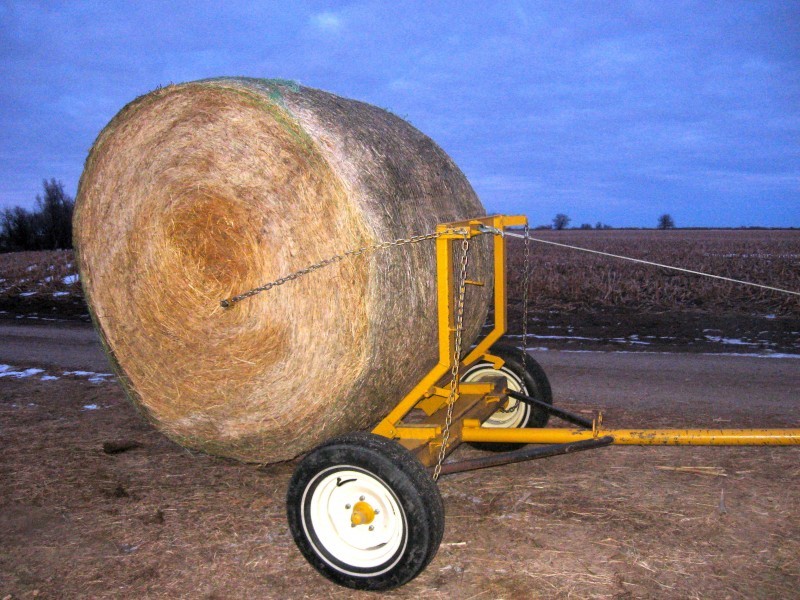 Rockville entrepreneur: $1K prize will go to marketing for Hay Stinger