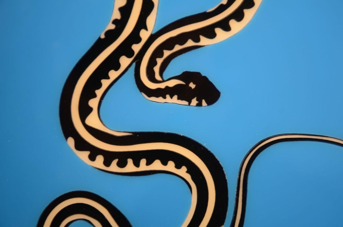 Lemmon shares her 'Irregular Migration' at Walker Gallery