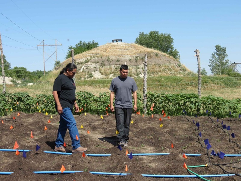 Pawnee interns at archway are ‘flash drives’ for tribe