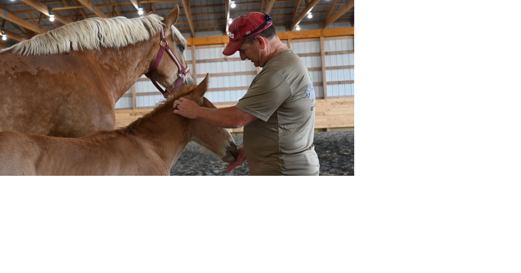 Ex-Kearney couple help vets heal from post-traumatic stress
