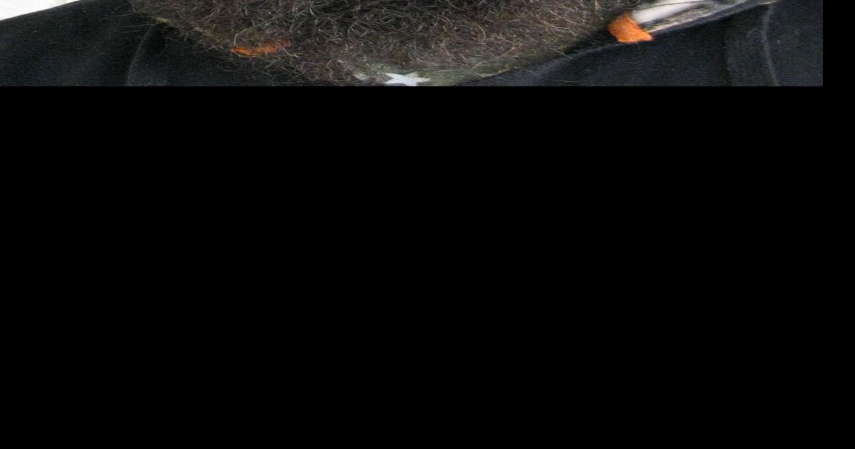 Man-on-the-Street: 32-hour work week: Dylan Geer